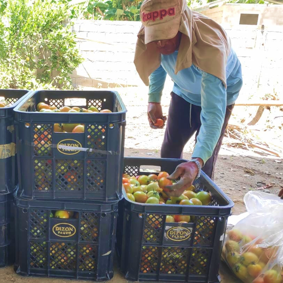 Suppliers – E-Agro